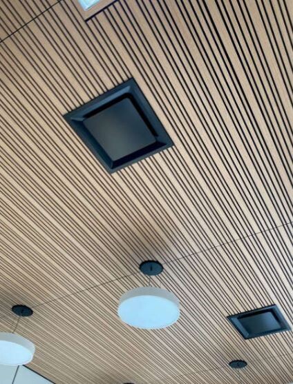 22 x 605 x 3000 mm Signature PROFF Fibrotech Akustikpaneel Furnier Ei ...