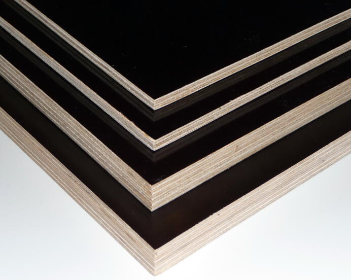 18 x 2000 x 3000 mm WISA ® - MAXI - Sieb/Film - Sperrholz, BFU 100 na ...
